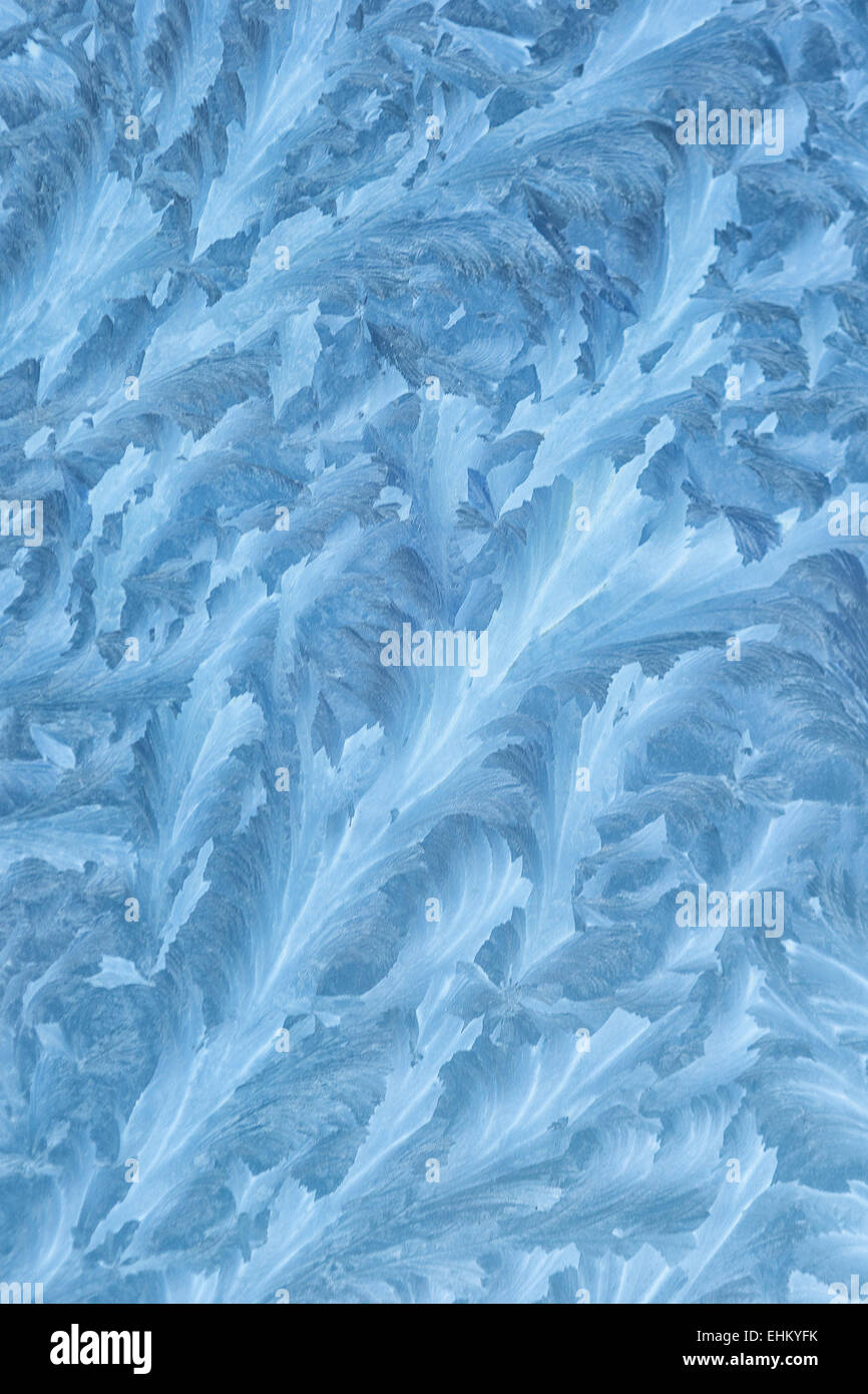 Organic patterns hi-res stock photography and images - Alamy