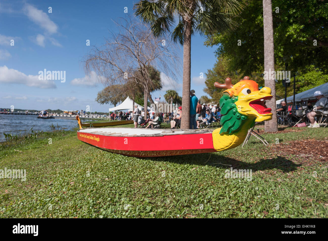 Dragon Boat Racing event at Wooton Park in Tavares, Florida USA Stock ...