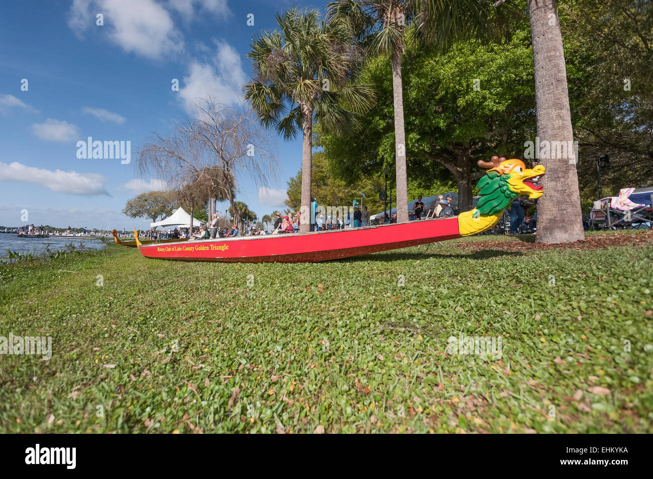 Dragon Boat Racing event at Wooton Park in Tavares, Florida USA Stock ...