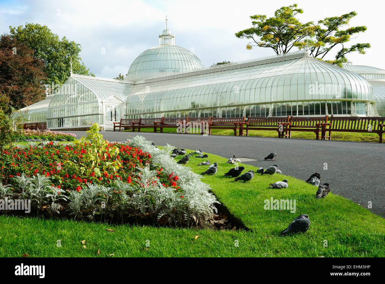 Glasgow Botanic Gardens Stock Photo - Alamy