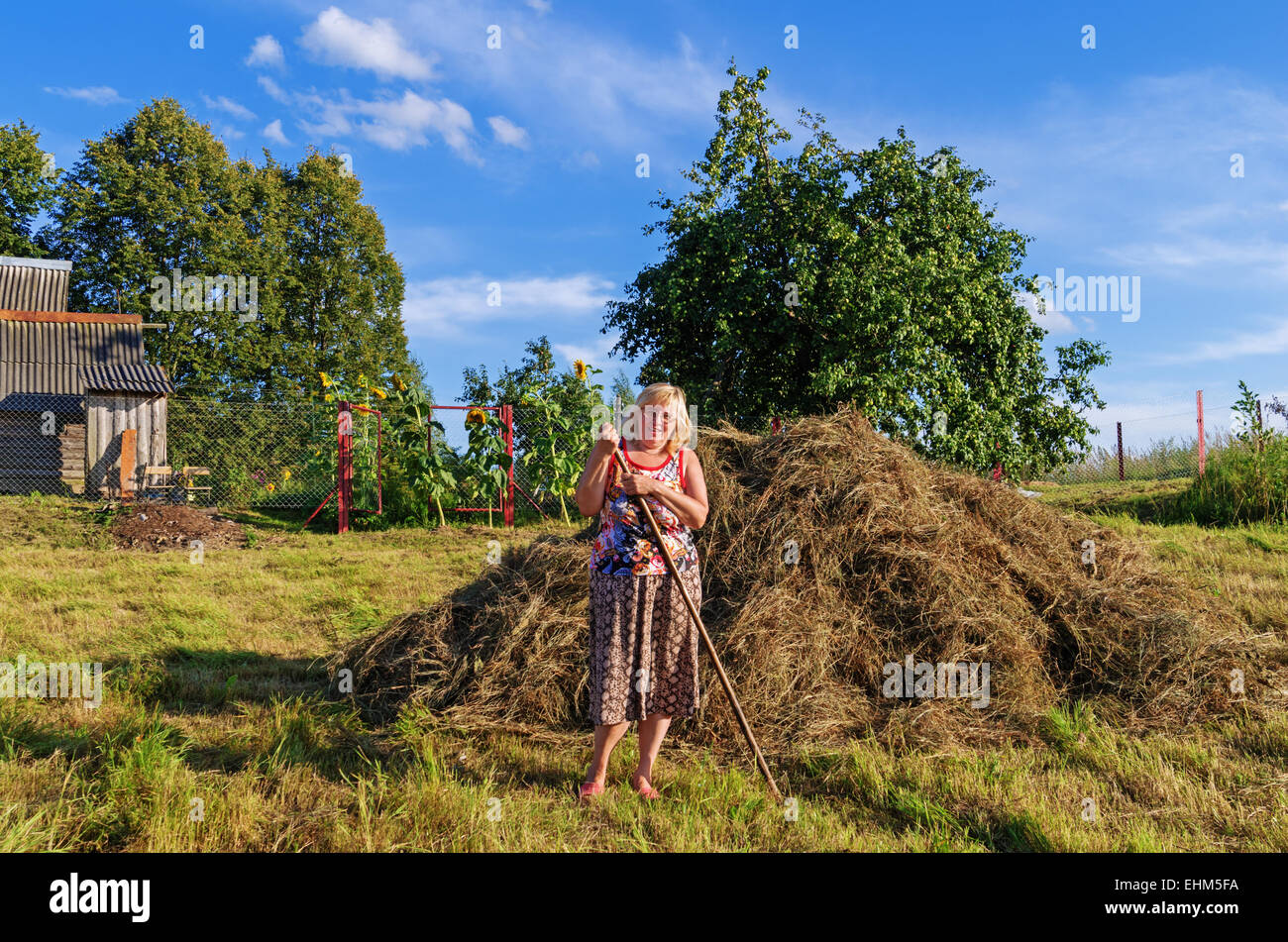 The happy woman gathering a hay pile in the village Stock Photo - Alamy