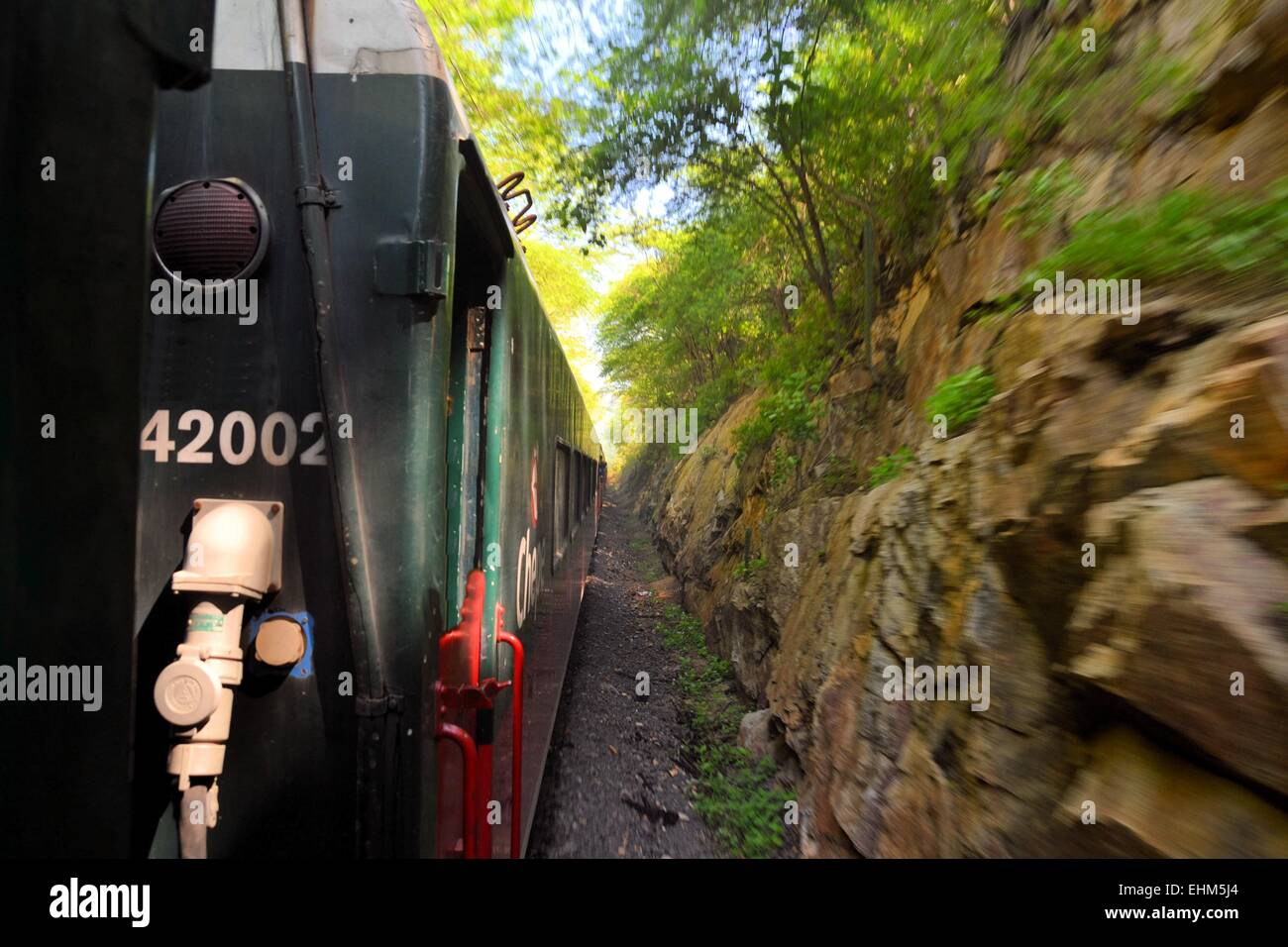 El Chepe train in the Copper Canyon, Mexico Stock Photo - Alamy