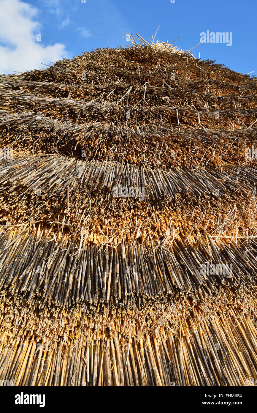 Neolithic thatched huts at stonehenge hi-res stock photography and ...