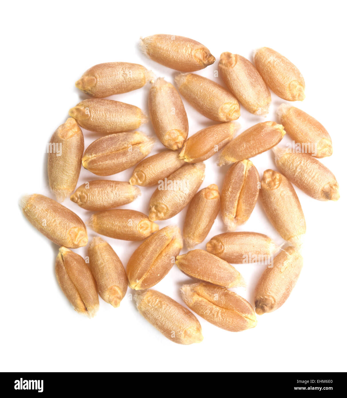 wheat grain isolated on white background Stock Photo - Alamy