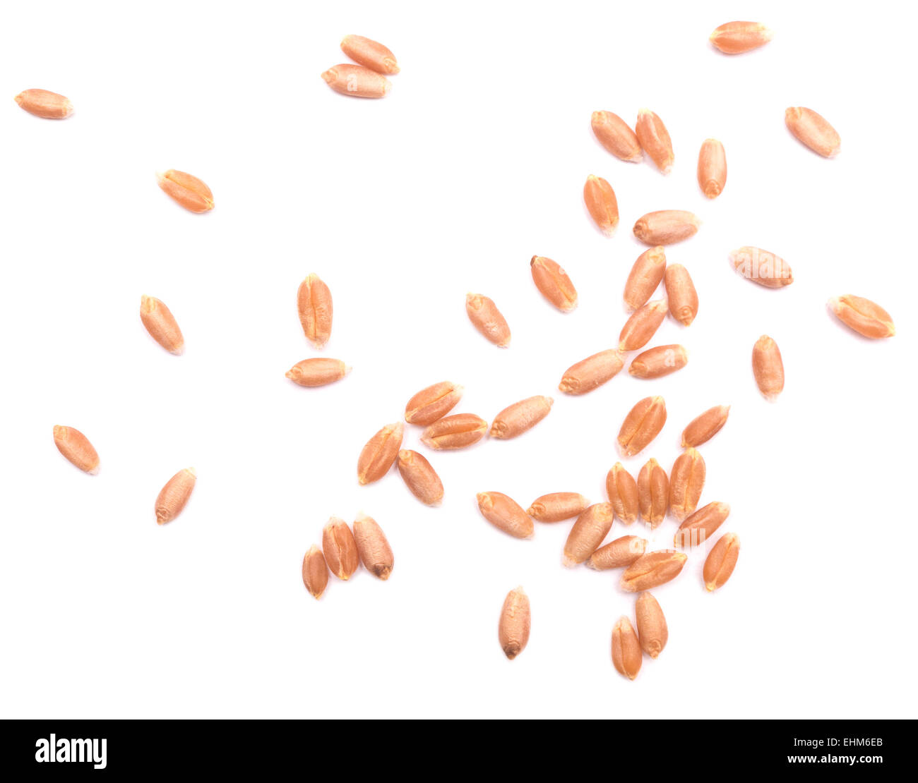 wheat grain isolated on white background Stock Photo - Alamy