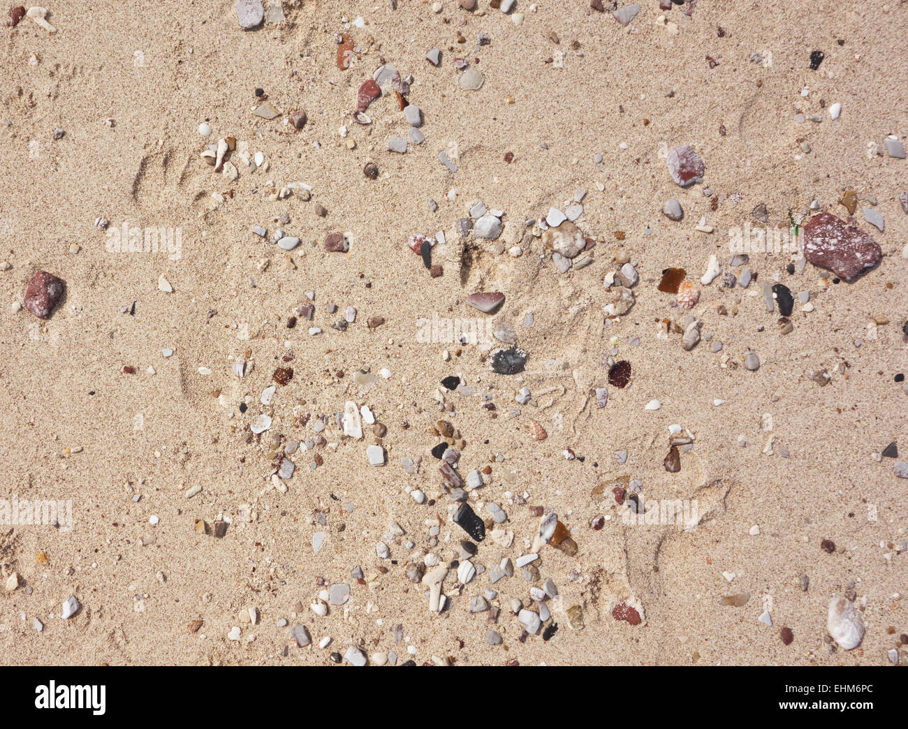 sand pebble background Stock Photo - Alamy