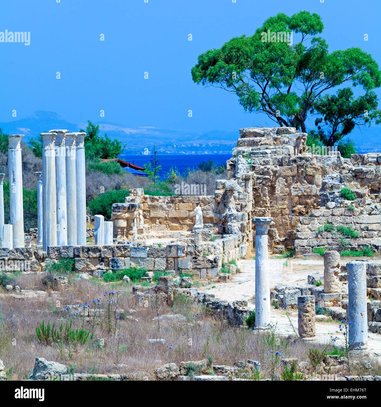 Statue Columns Salamis Roman Ruins High Resolution Stock Photography ...
