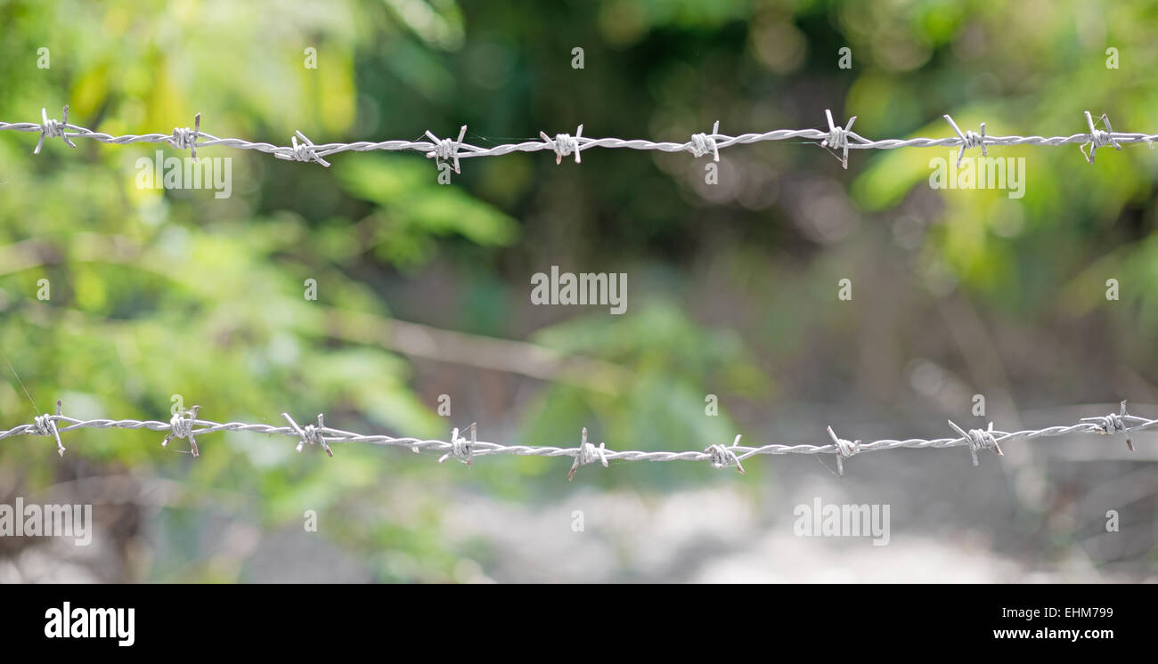 Barbed wire knot hi-res stock photography and images - Alamy