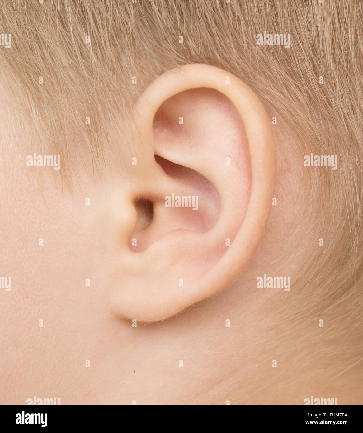 close up of baby ear Stock Photo - Alamy