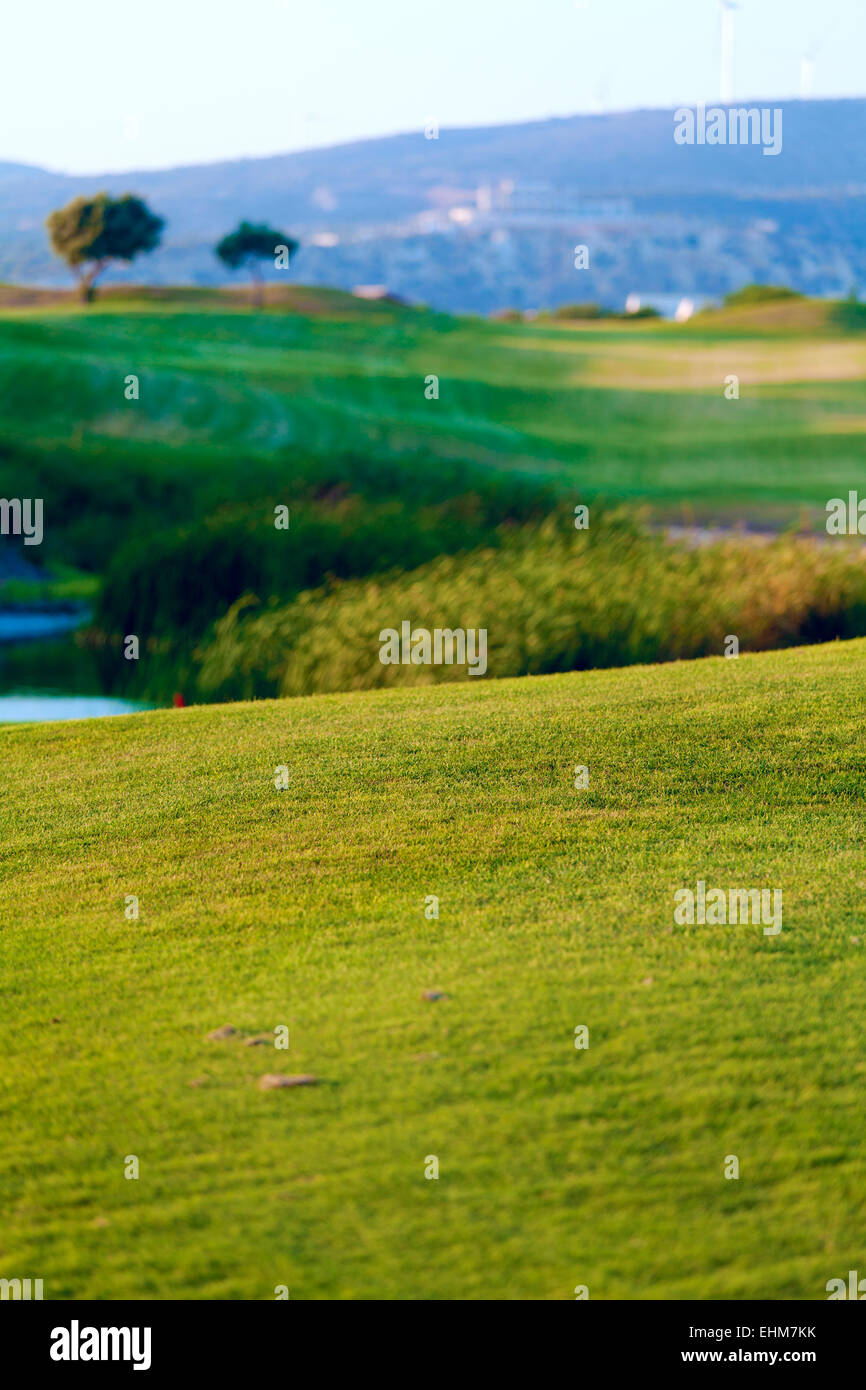 Putting green of golf field, Paphos, Cyprus Stock Photo - Alamy