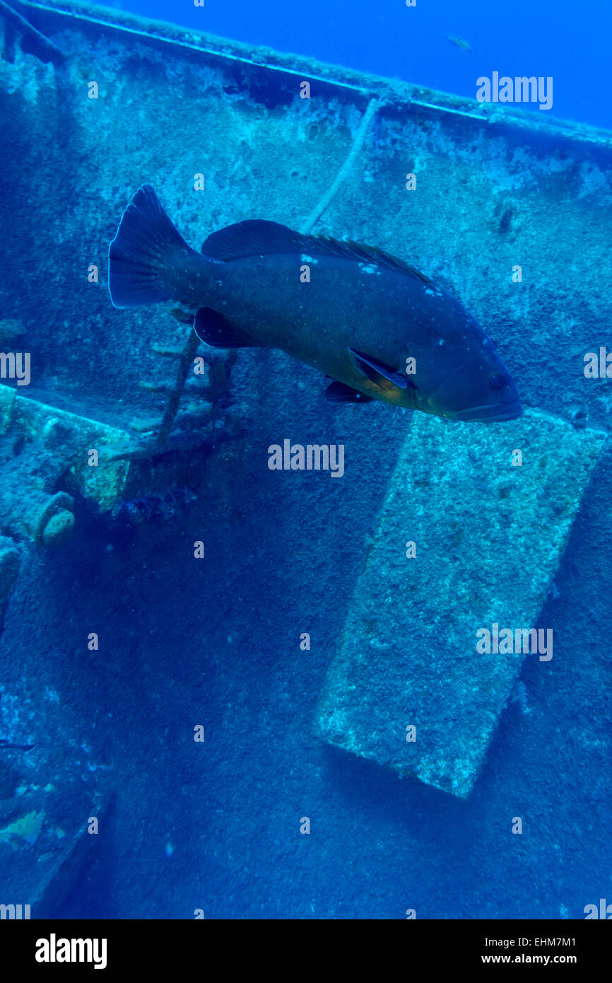 Zenobia ship wreck near Paphos, Cyprus Stock Photo - Alamy