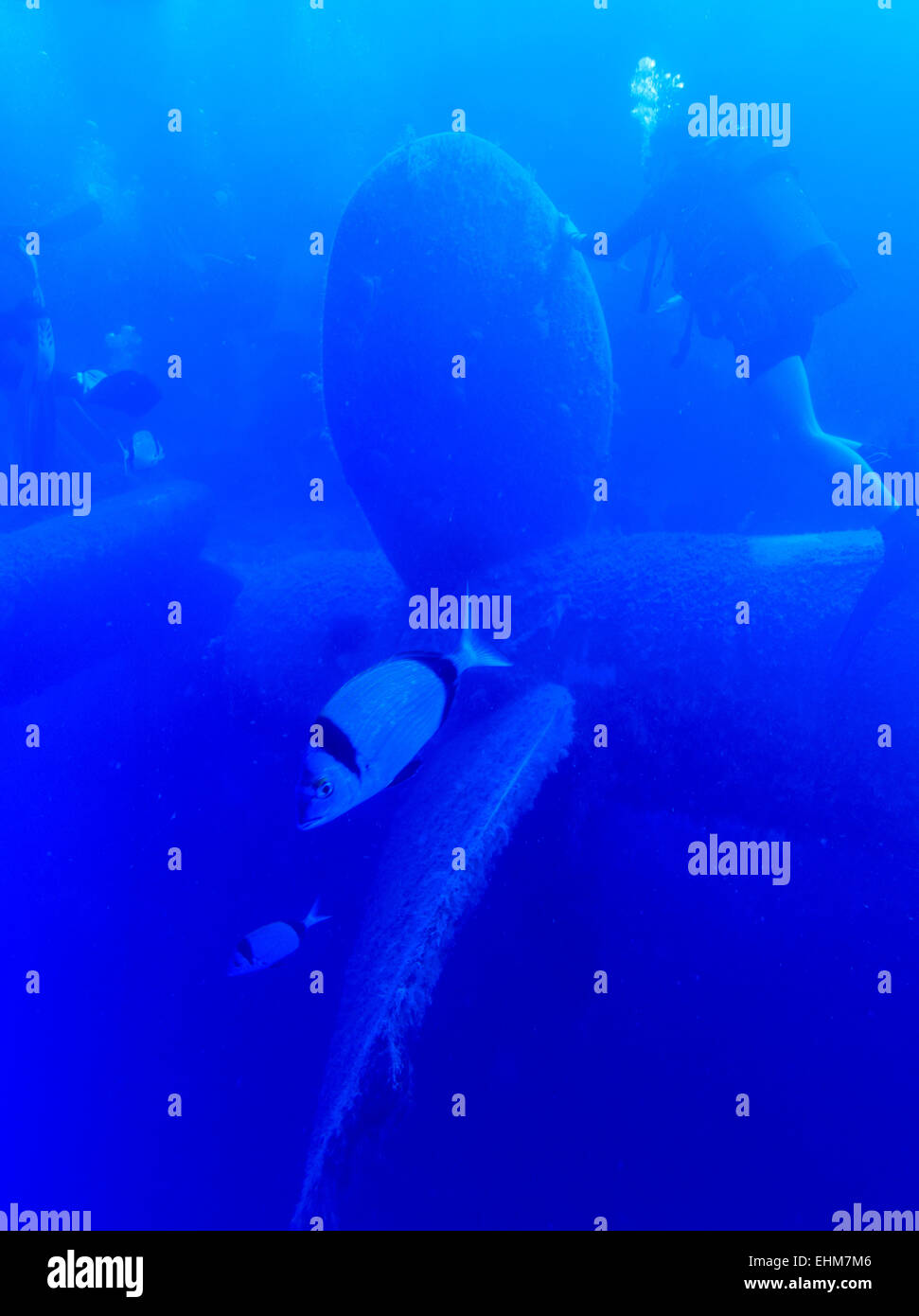 Zenobia ship wreck near Paphos, Cyprus Stock Photo - Alamy