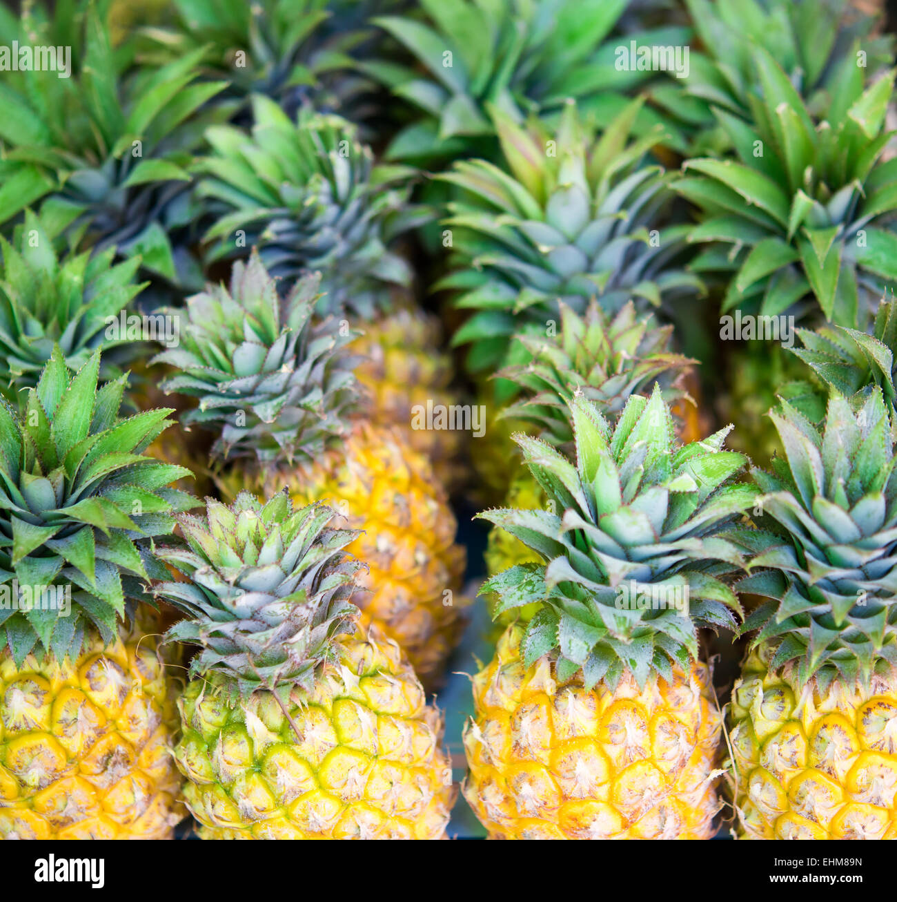 Small pineapples hi-res stock photography and images - Alamy