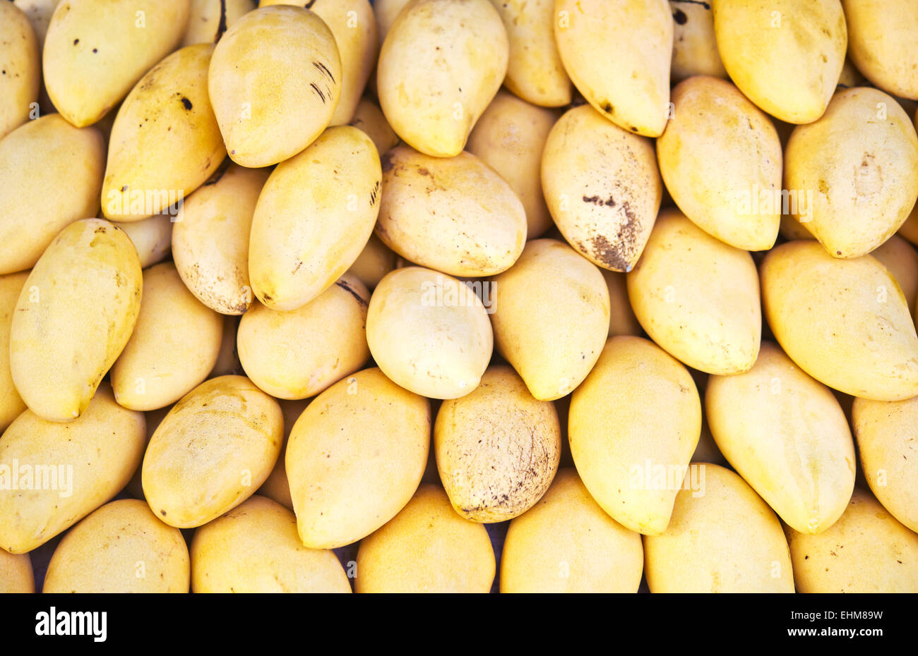 close up of ripe fresh mangoes Stock Photo - Alamy