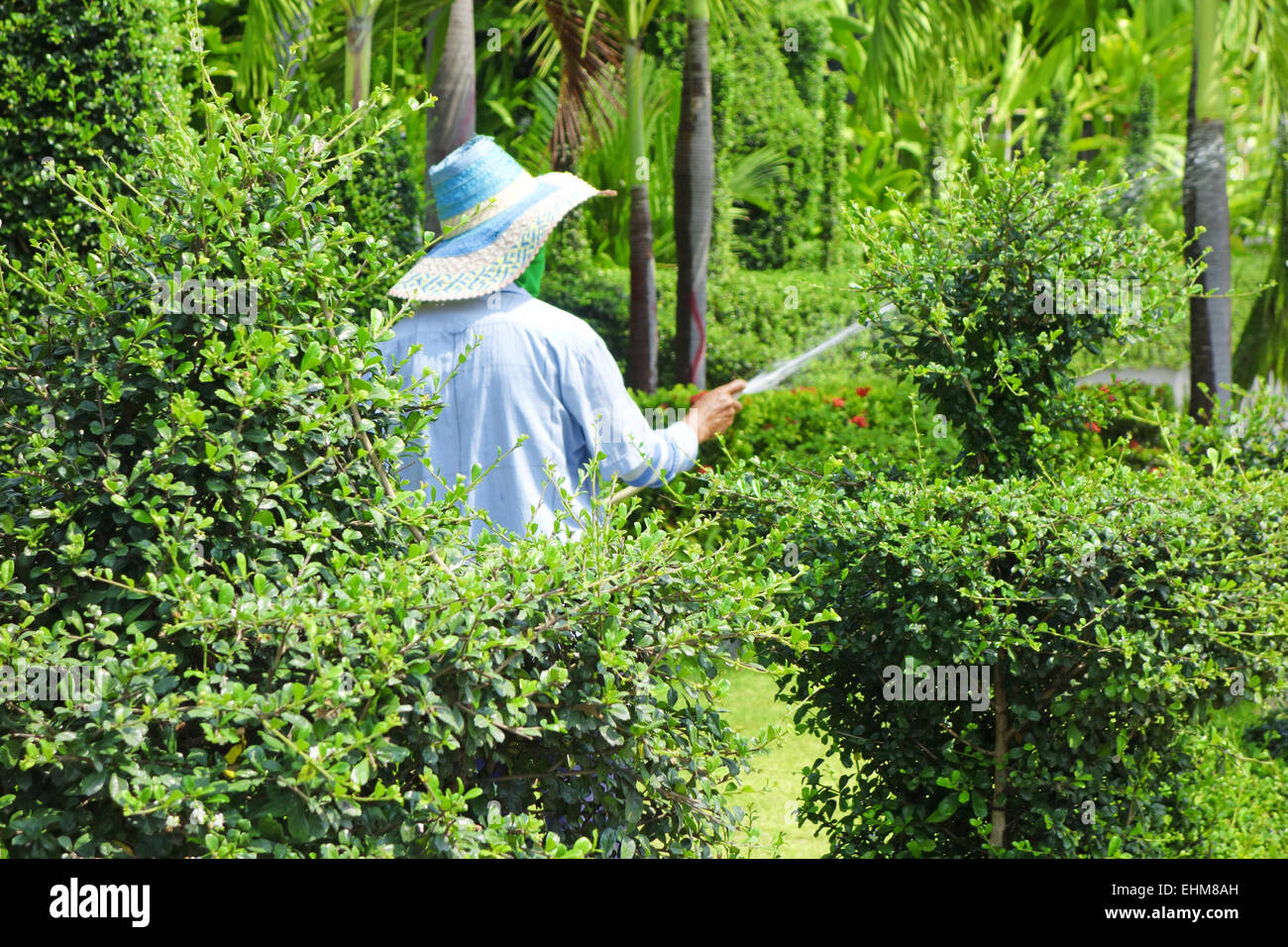 Senior man garden hose hi-res stock photography and images - Alamy