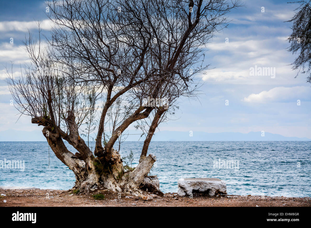 Windy day sea hi-res stock photography and images - Alamy