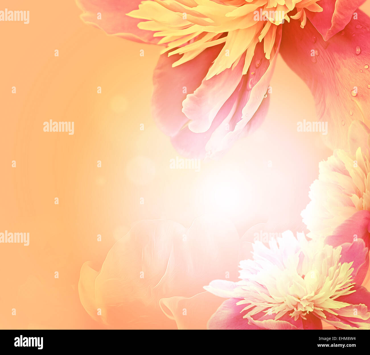 Beautiful abstract floral background , Border design Stock Photo - Alamy
