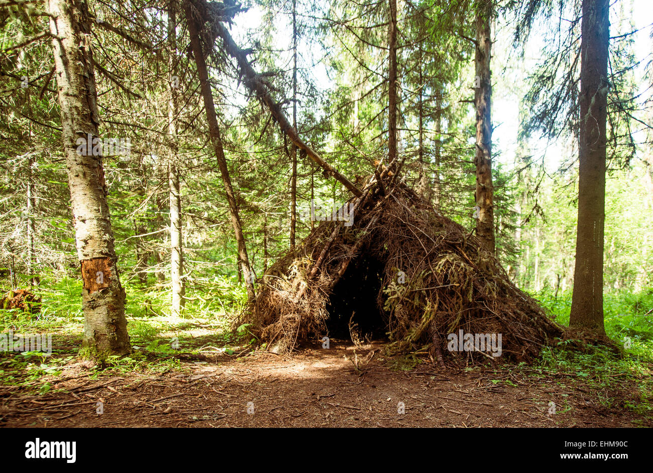 Fort forest hi-res stock photography and images - Alamy