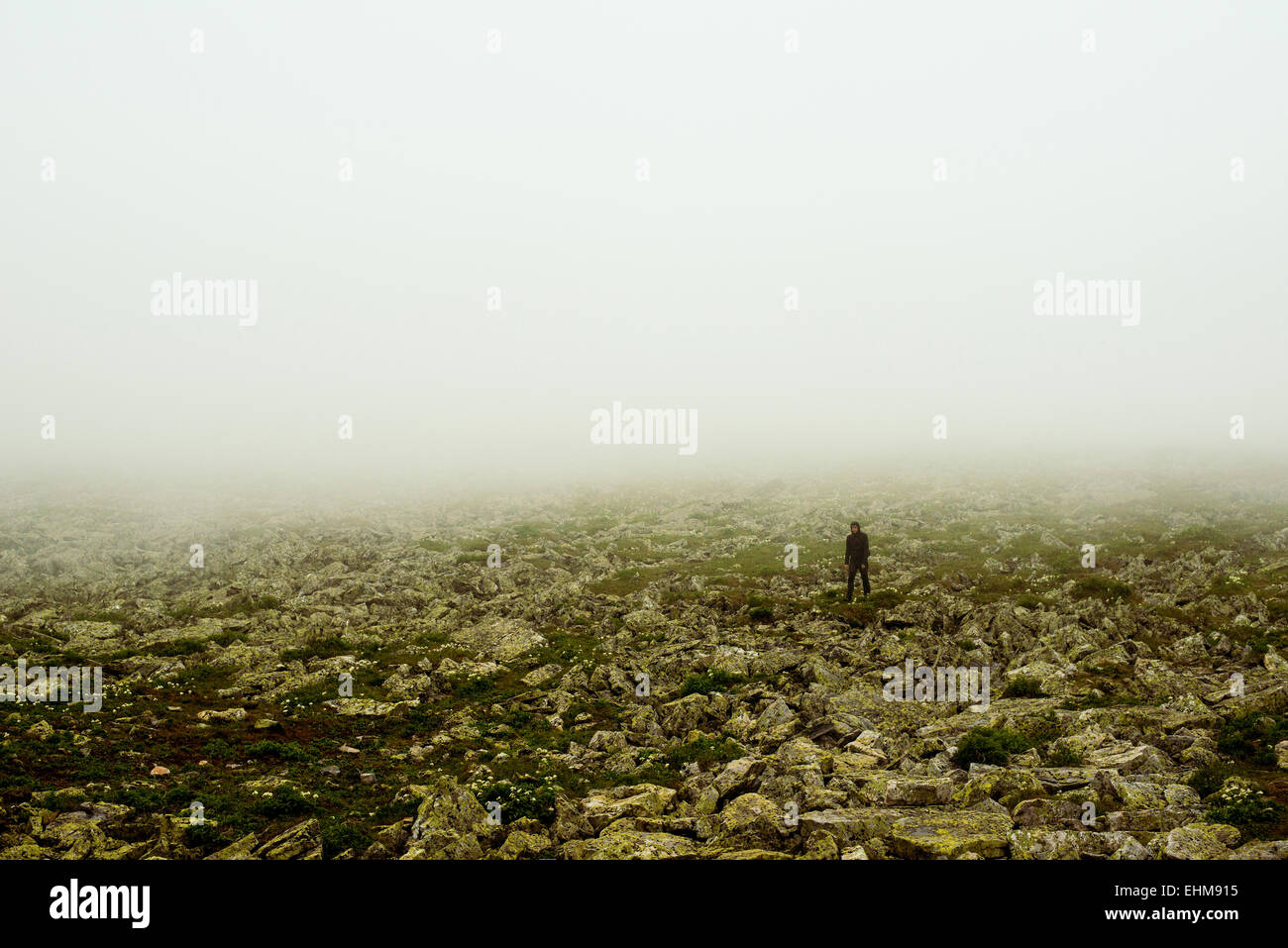 Rocky field hi-res stock photography and images - Alamy