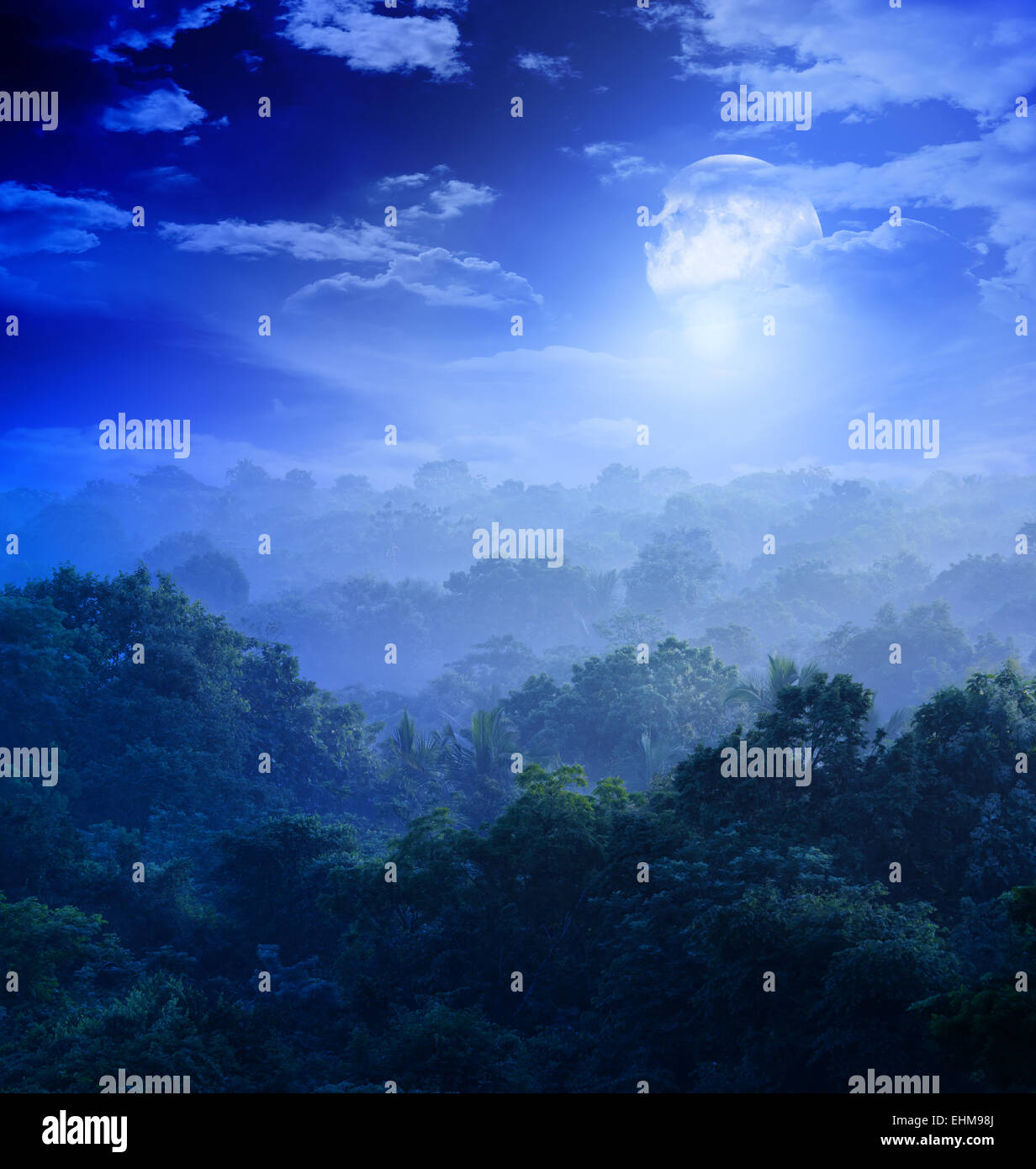 moonlight covers jungles of Sri Lanka Stock Photo - Alamy