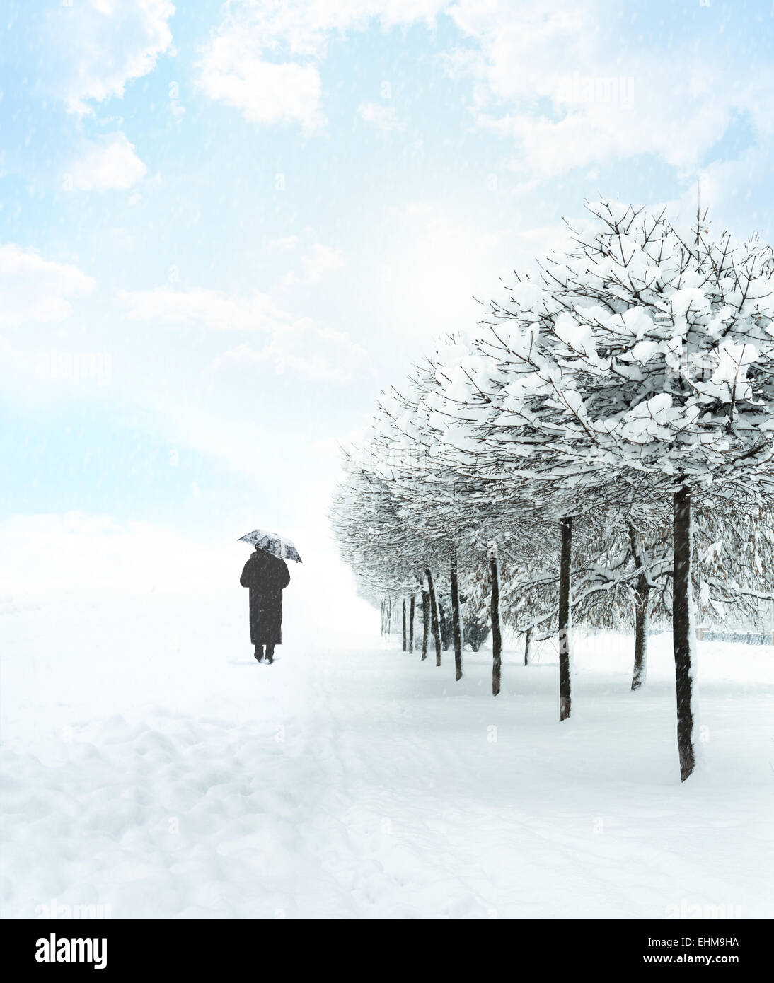 Silhouette winter scene hi-res stock photography and images - Alamy