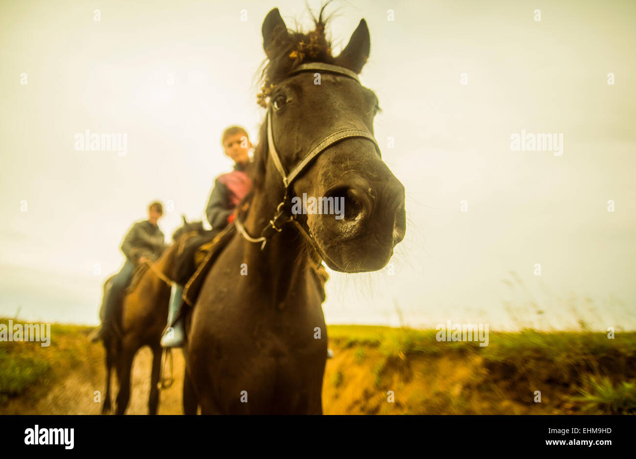 Boy and girl riding horse hi-res stock photography and images - Alamy