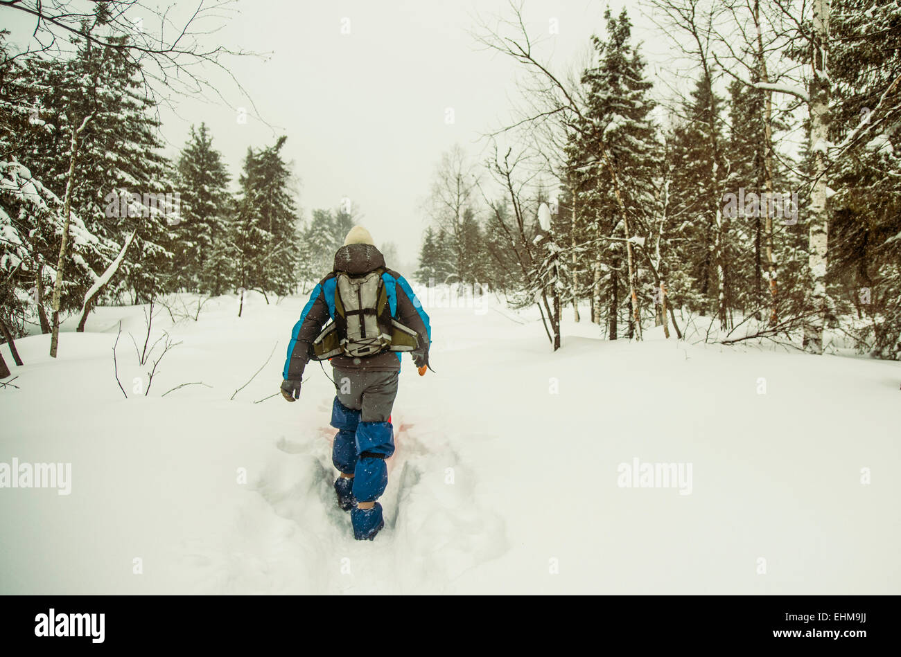 Perm frozen hi-res stock photography and images - Alamy