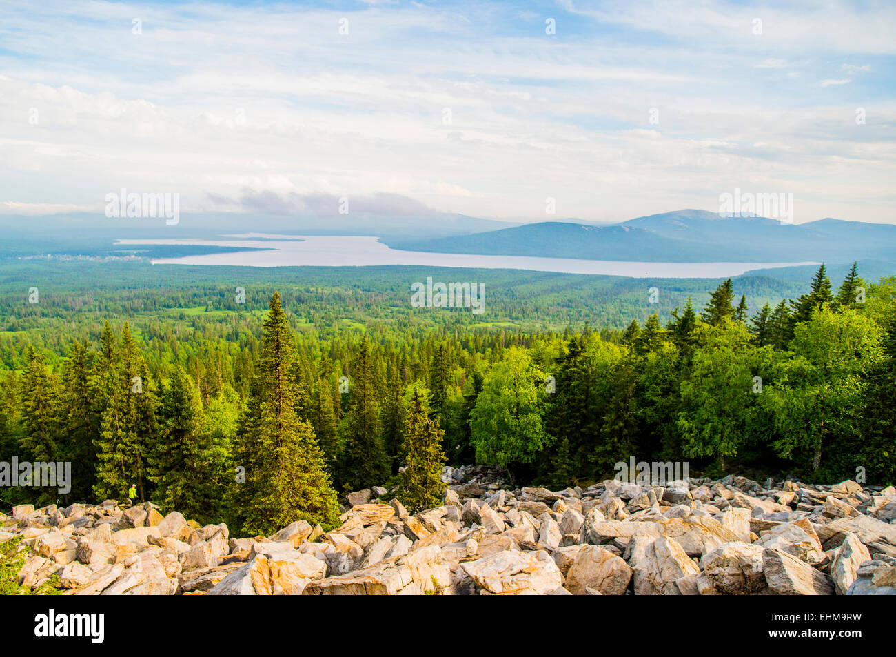 Hillside forest hi-res stock photography and images - Alamy