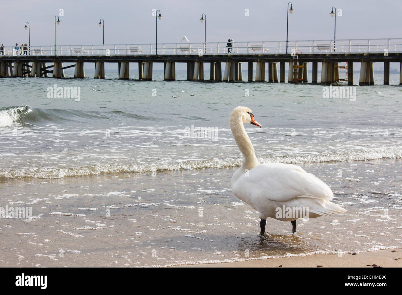 Orlowo pier hi-res stock photography and images - Alamy