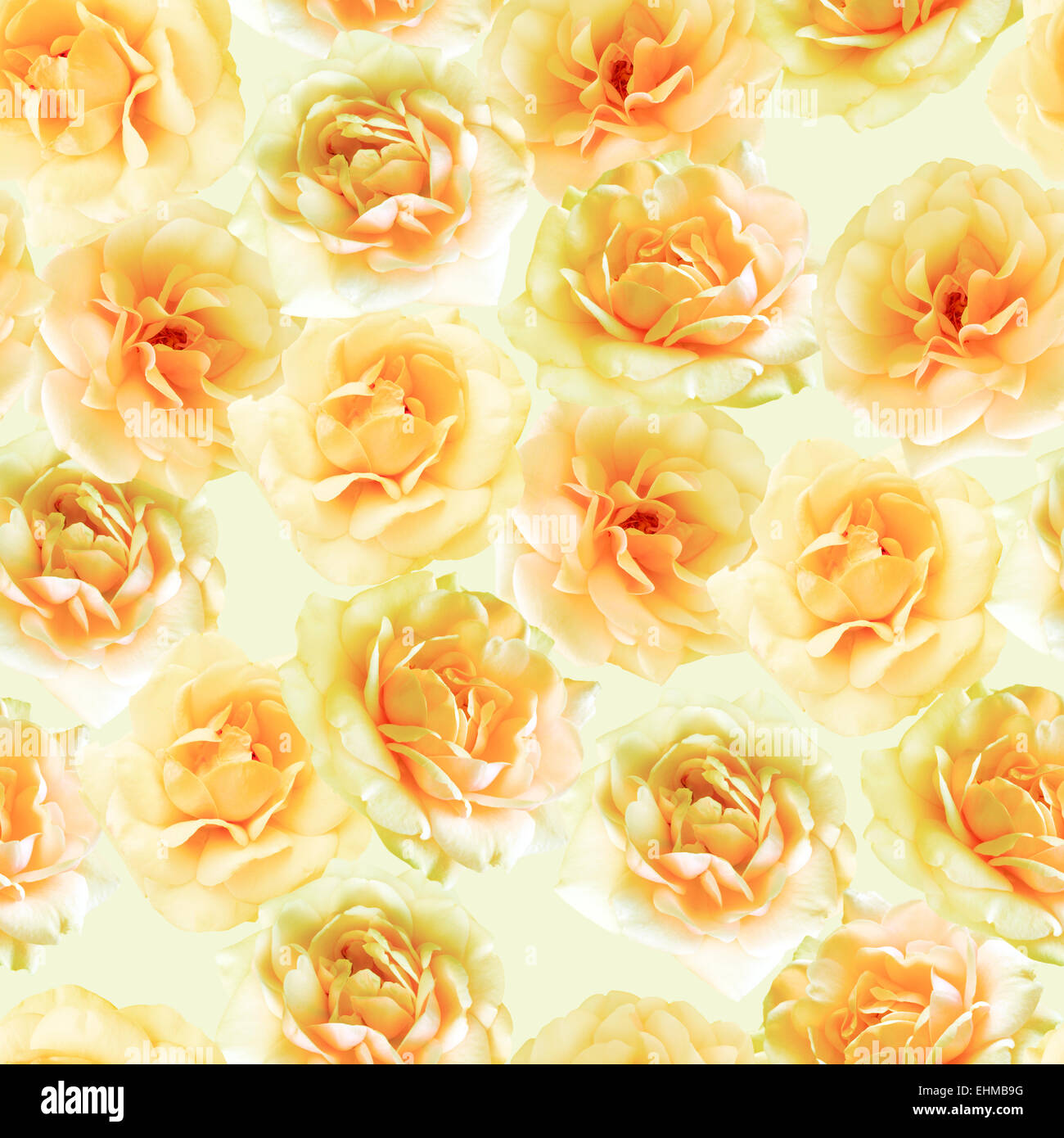 Yellow roses pattern wallpaper hi-res stock photography and images - Alamy