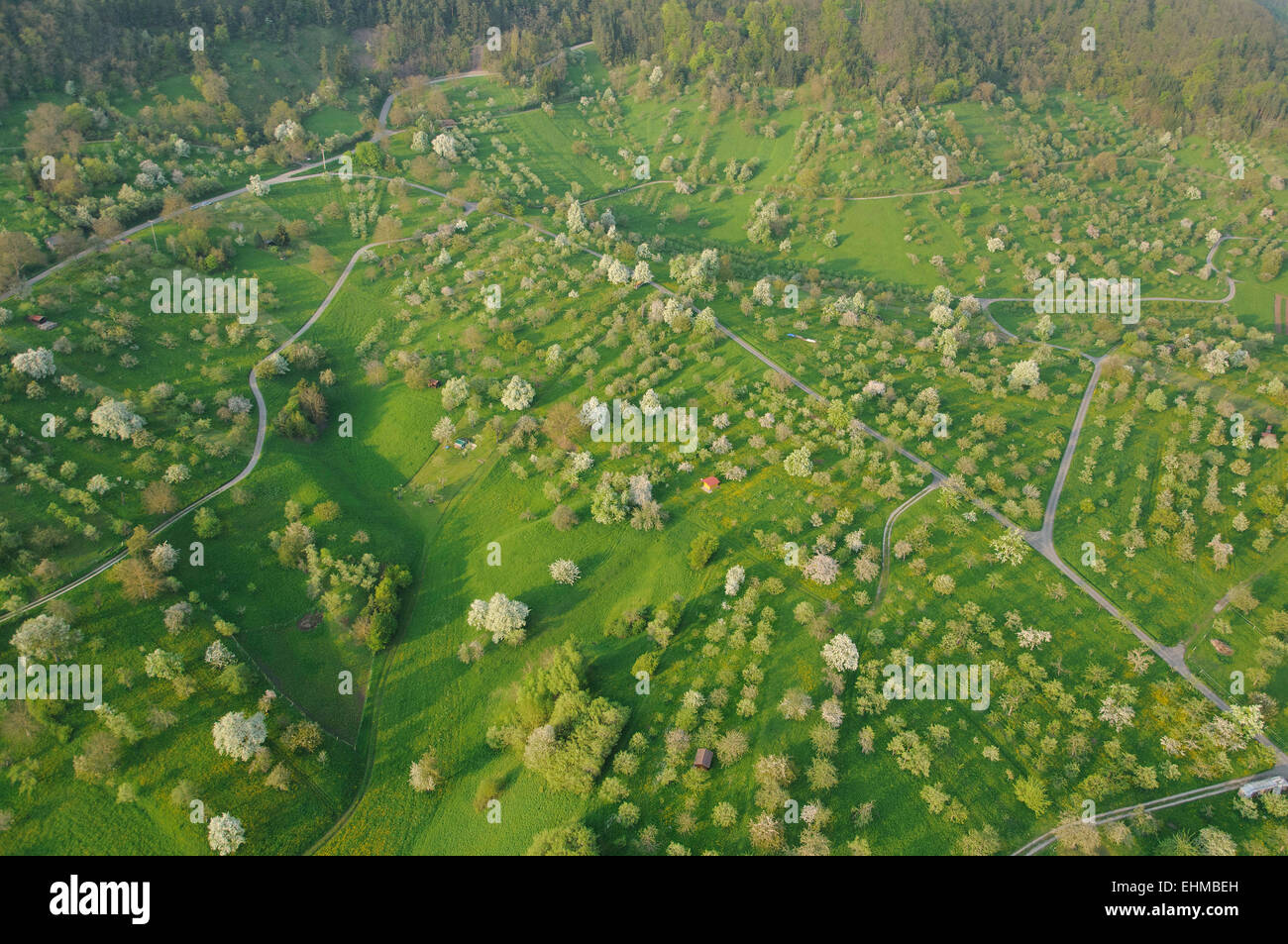 Orchard aerial view hi-res stock photography and images - Alamy