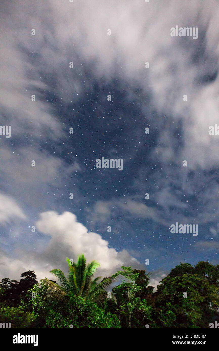 Rainforest night sky hi-res stock photography and images - Alamy