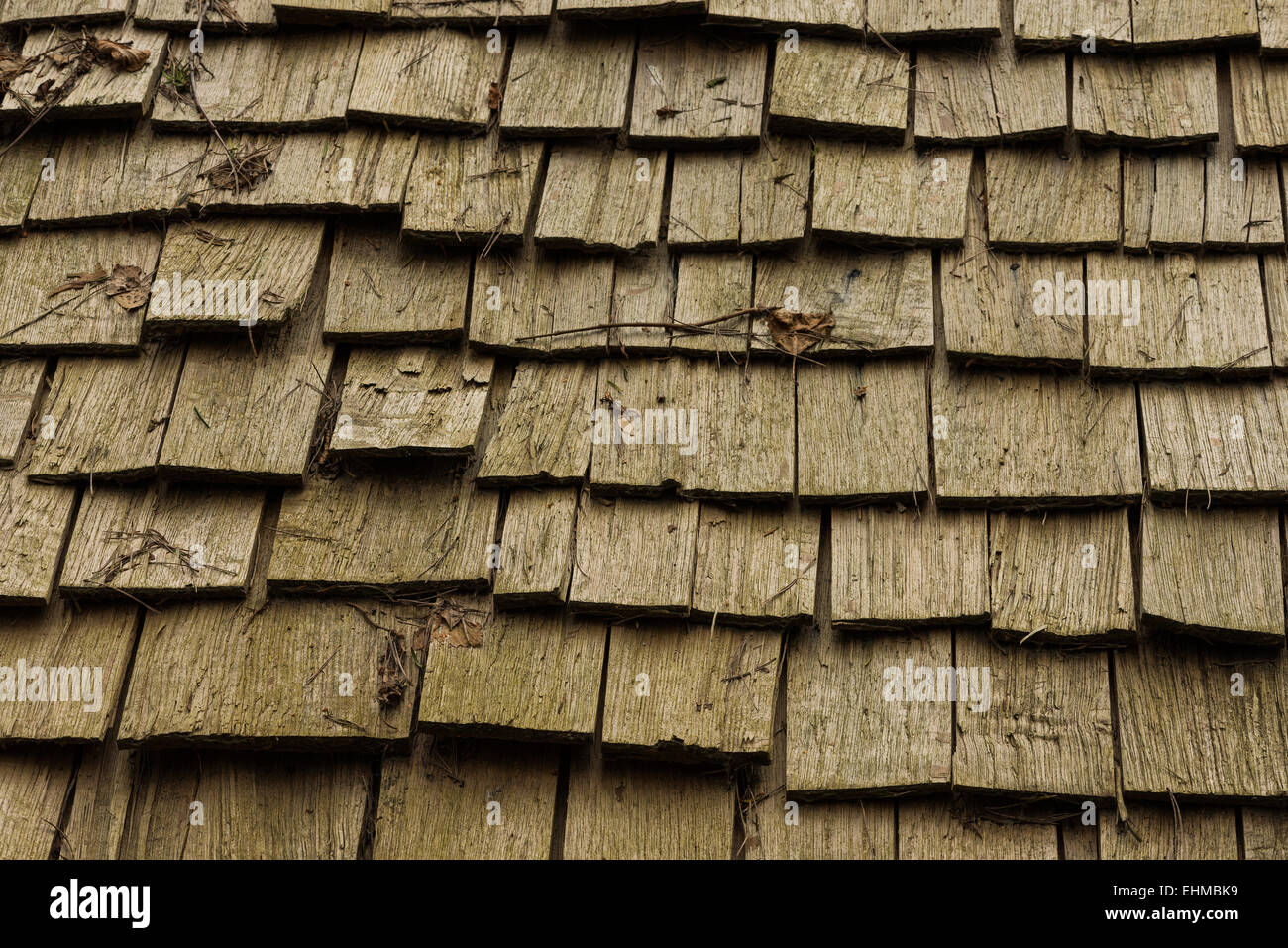 Wood Shingle Roof Texture