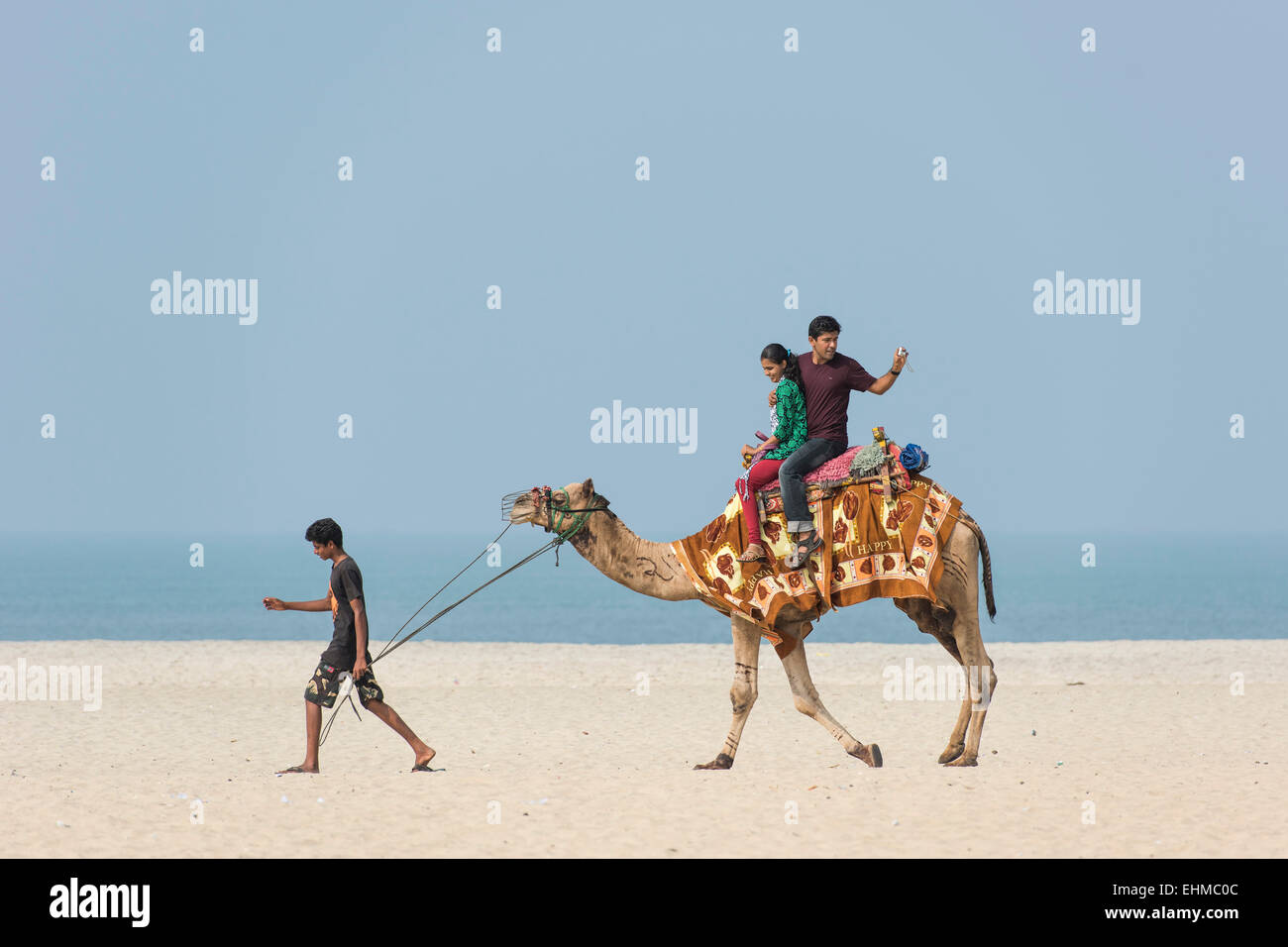 Indian camel hi-res stock photography and images - Alamy