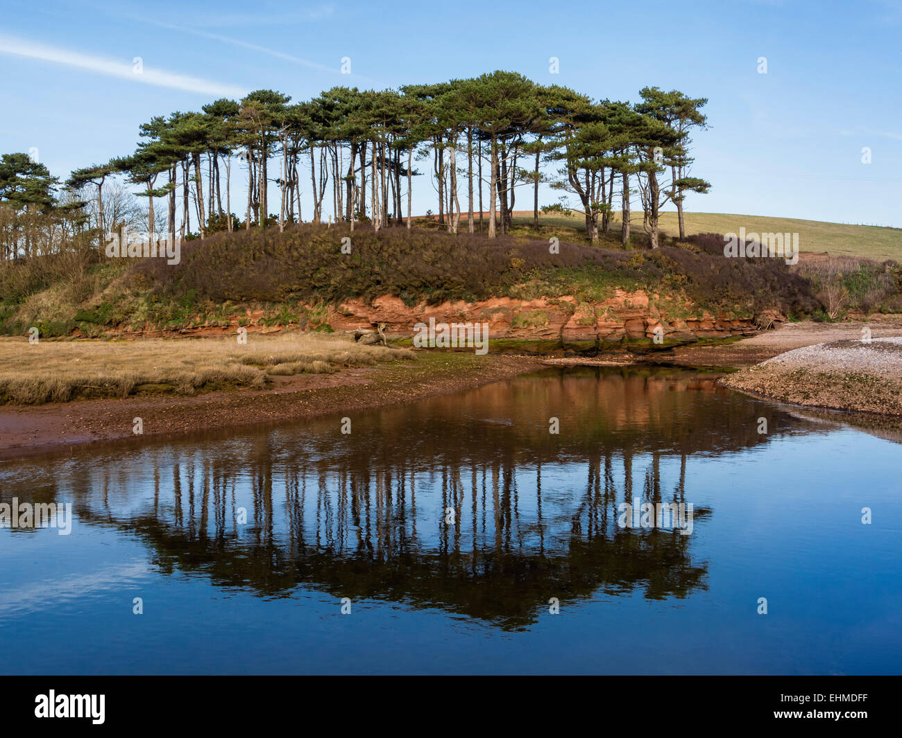River otter estuary hi-res stock photography and images - Alamy