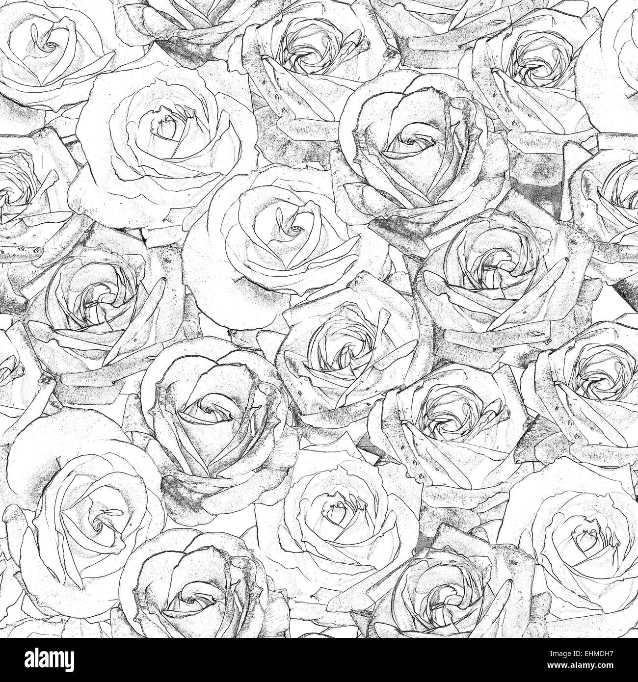 Rose texture hi-res stock photography and images - Alamy