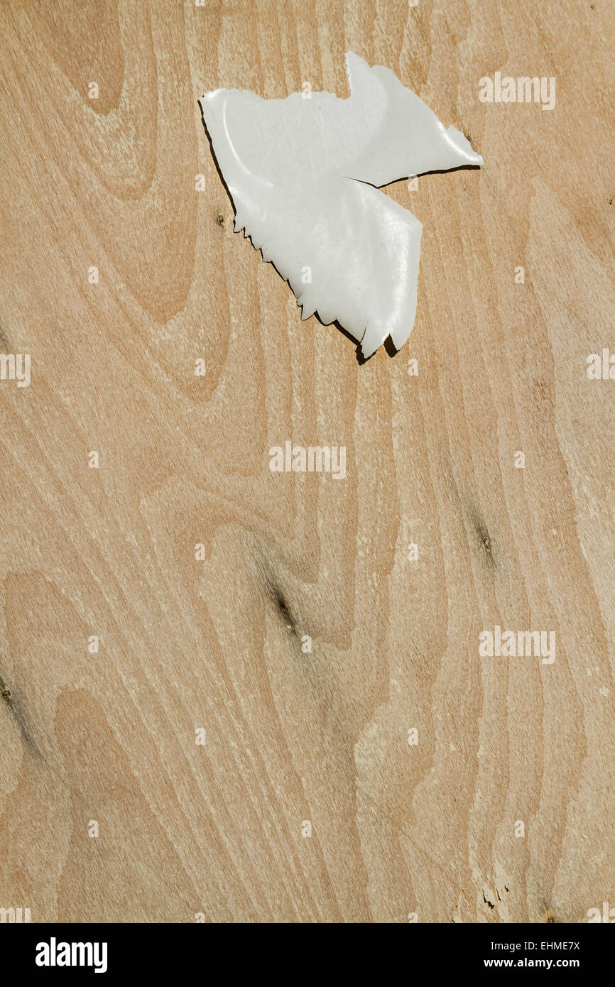 Worn Out Paper Stock Photos & Worn Out Paper Stock Images - Alamy