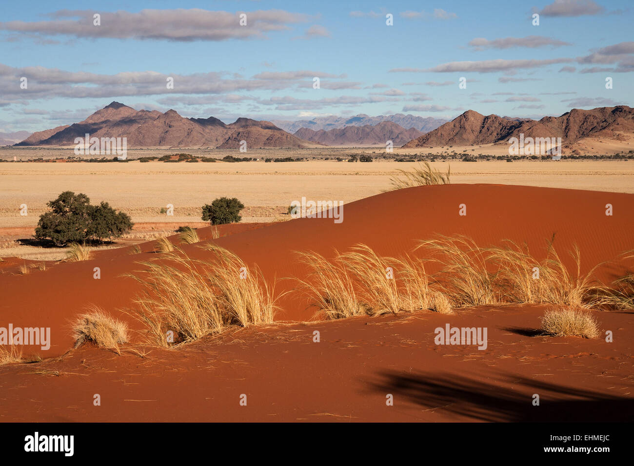 Elim hi-res stock photography and images - Alamy