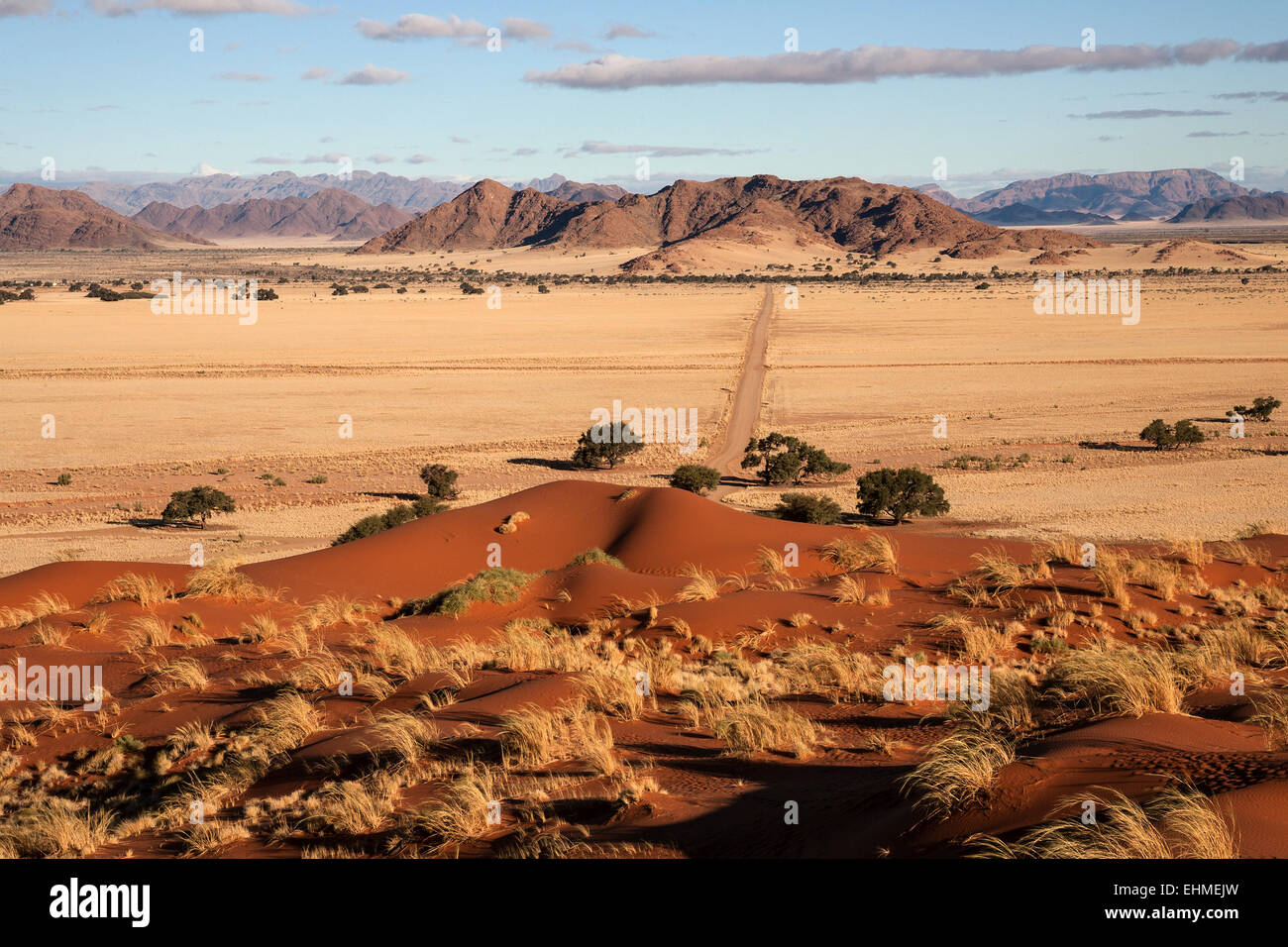 Elim hi-res stock photography and images - Alamy