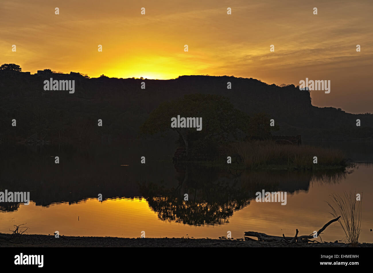 Golden winter sun sets behind the Ranthambhore fort with the Padam ...