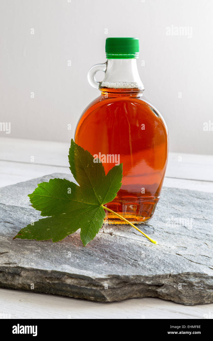 Xylem and phloem hi-res stock photography and images - Alamy