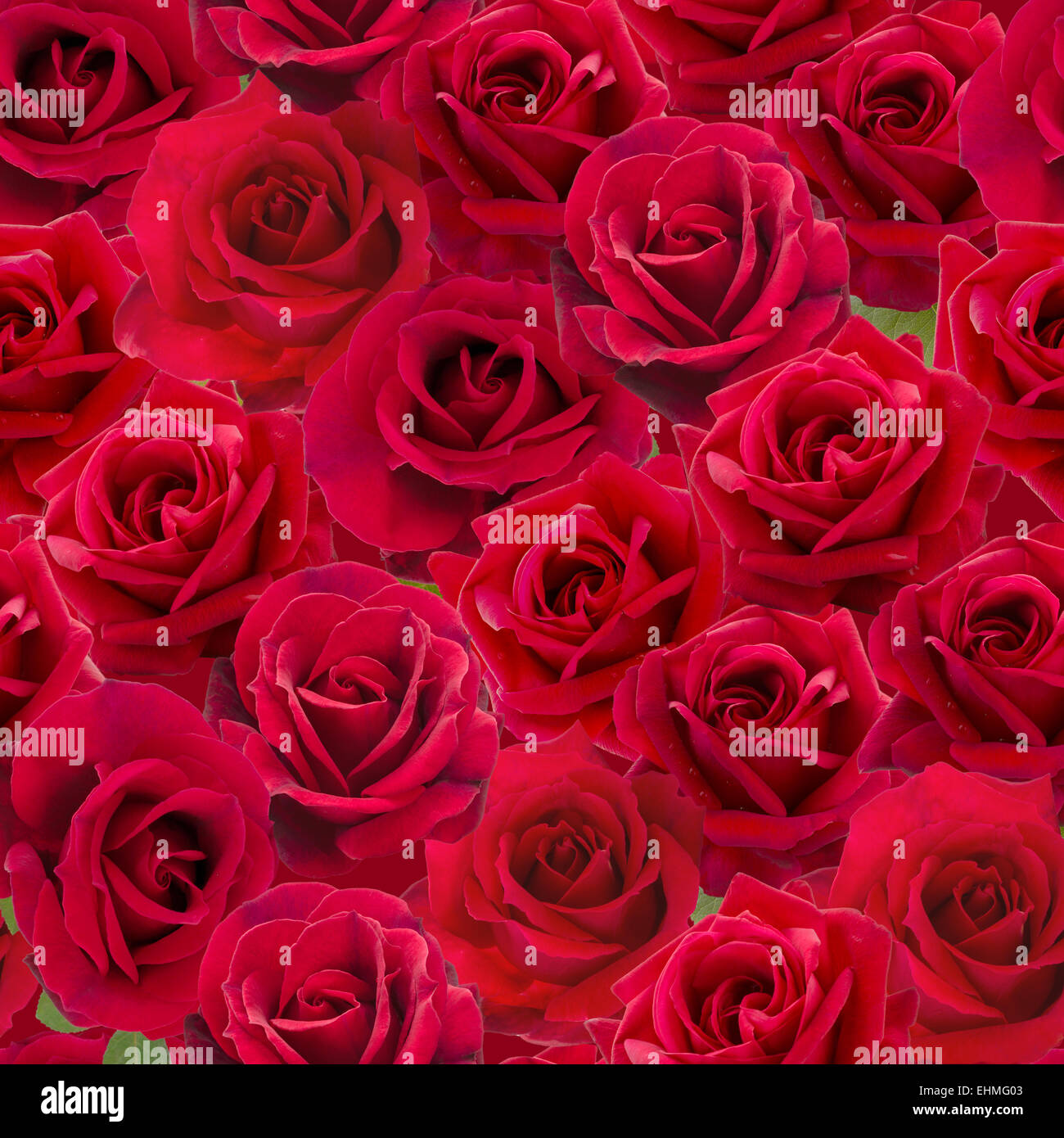 Seamless red rose pattern hi-res stock photography and images - Alamy