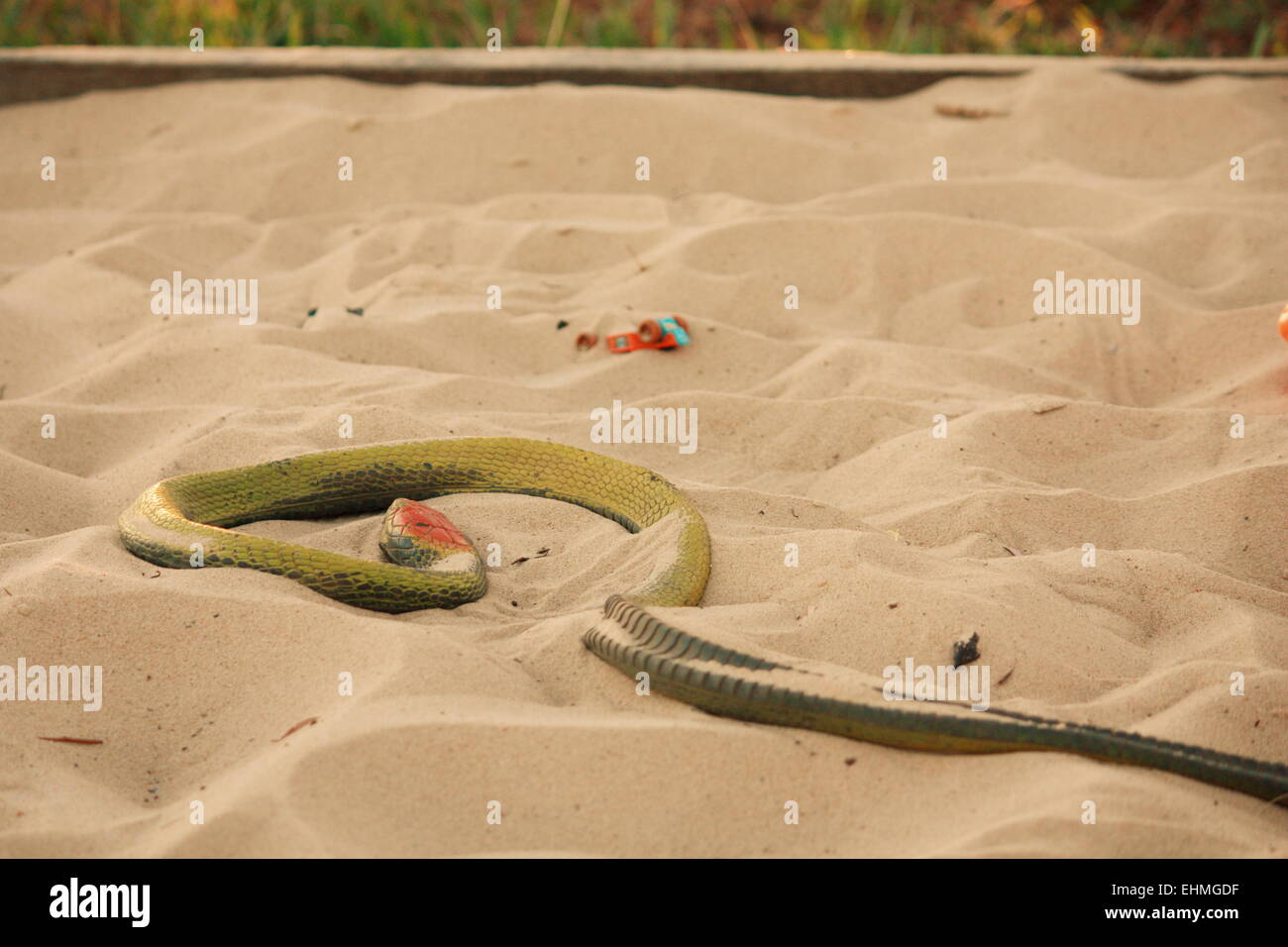 Snake in a sandpit Stock Photo - Alamy