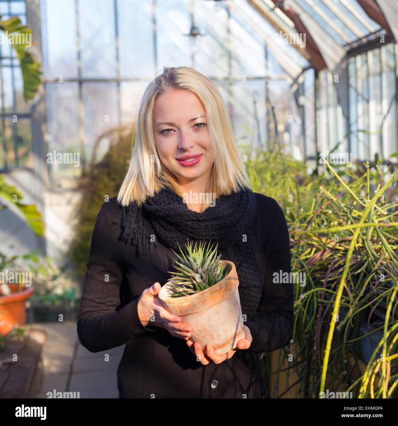 Florists woman working in greenhouse Stock Photo - Alamy