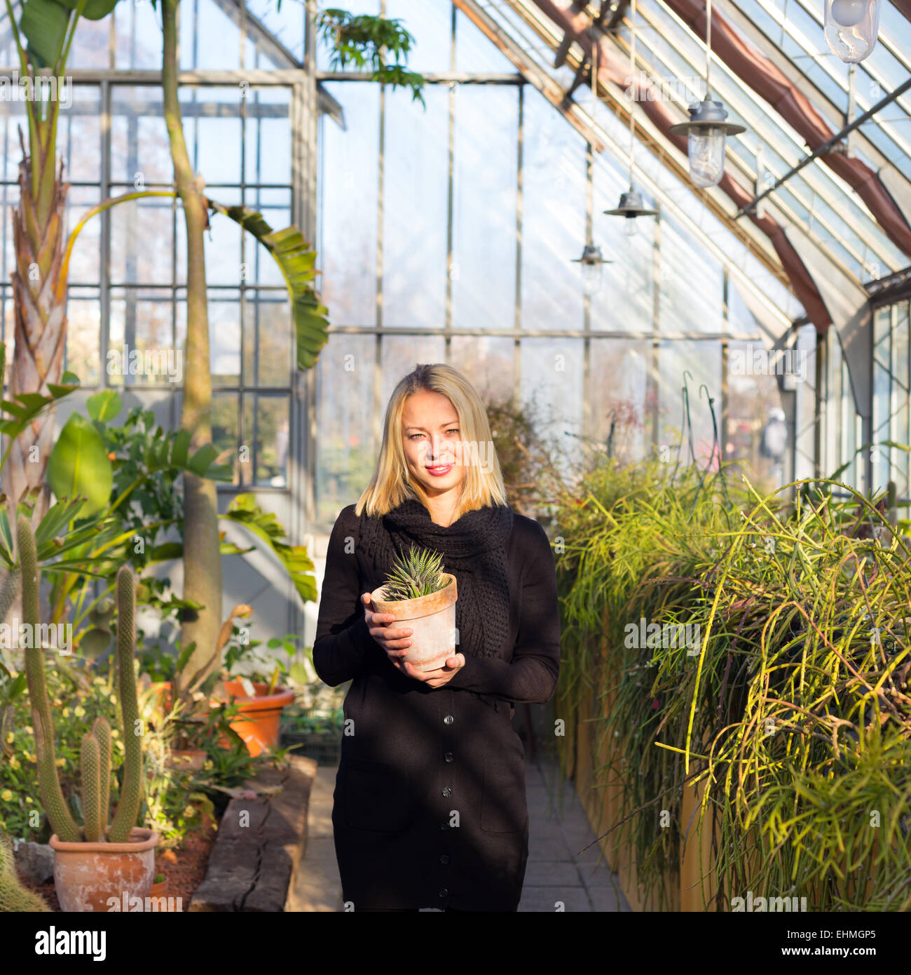 Florists woman working in greenhouse Stock Photo - Alamy