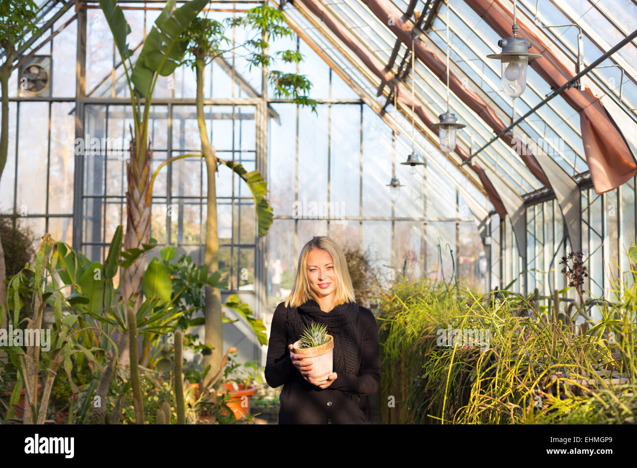 Florists woman working in greenhouse Stock Photo - Alamy