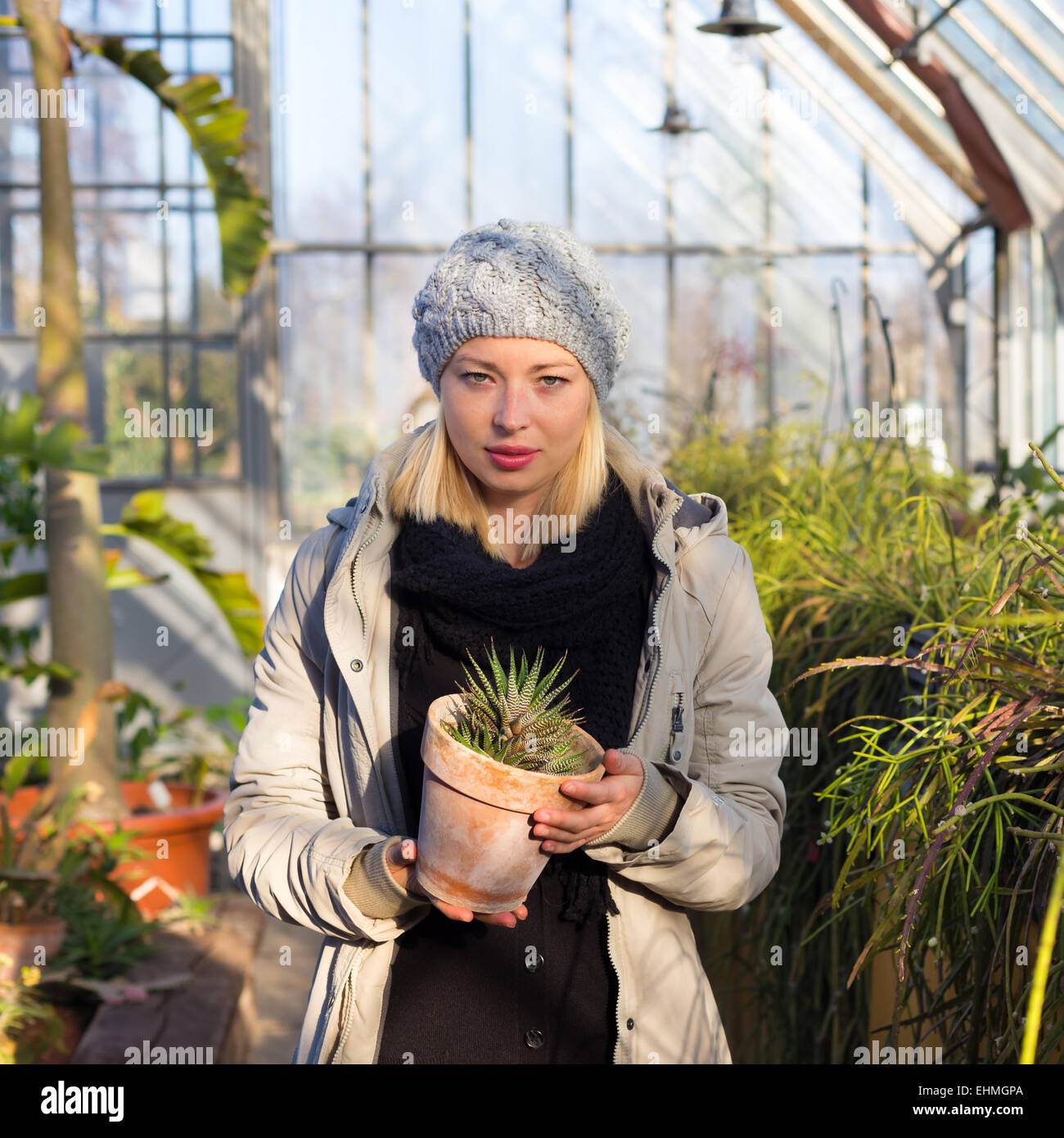 Florists woman working in greenhouse Stock Photo - Alamy