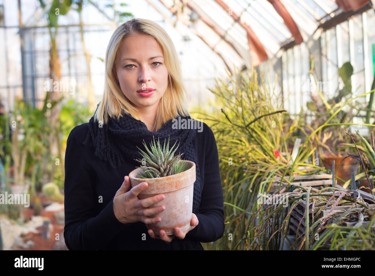 Florists woman working in greenhouse Stock Photo - Alamy