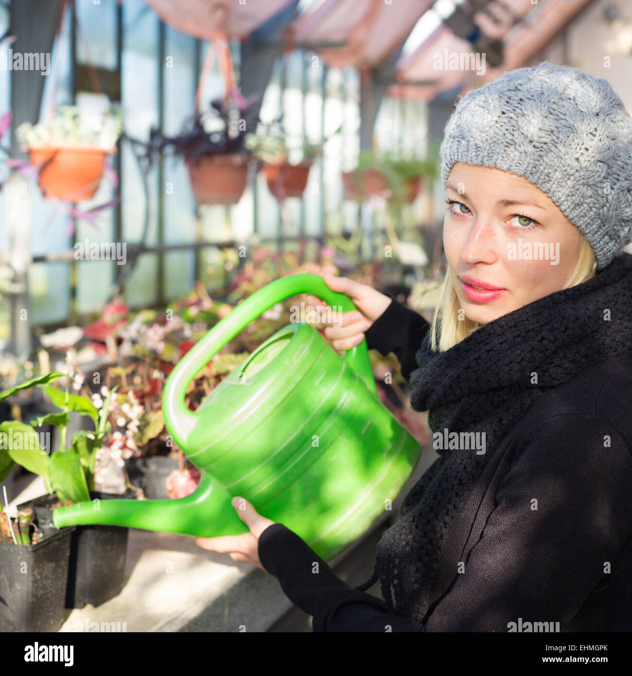 Florists woman working in greenhouse Stock Photo - Alamy