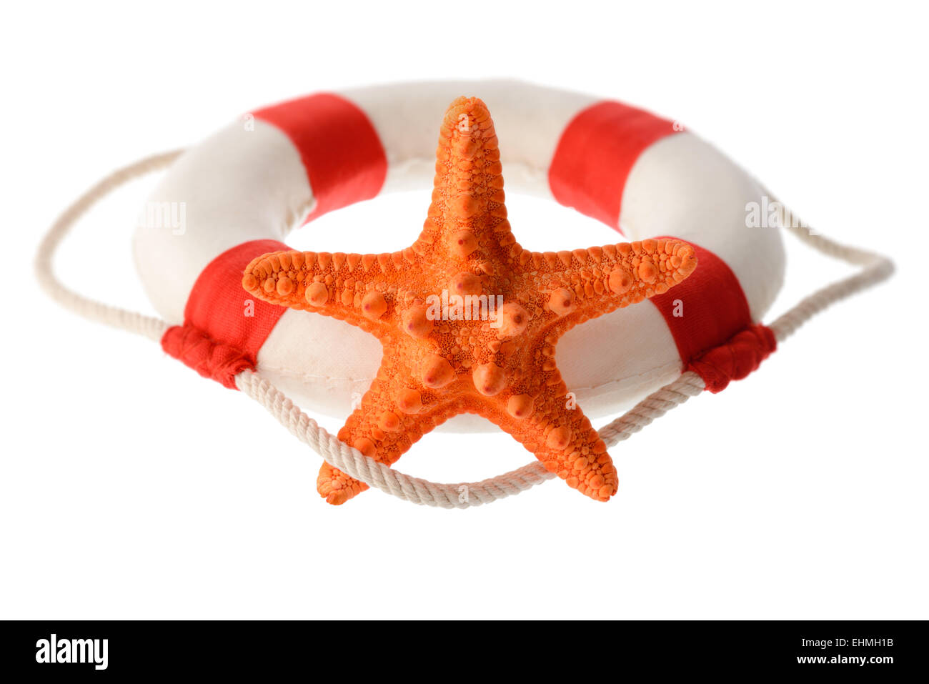 Isolated objects: still life with orange starfish and white-red ...